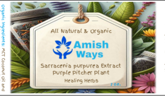 Amish Ways - Extracts